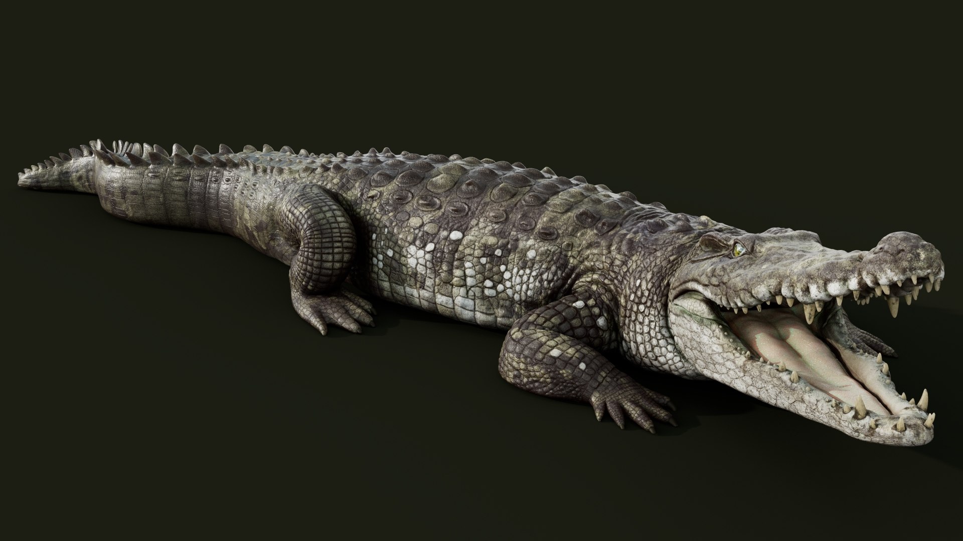 3D Crocodile Rigged - TurboSquid 2357915