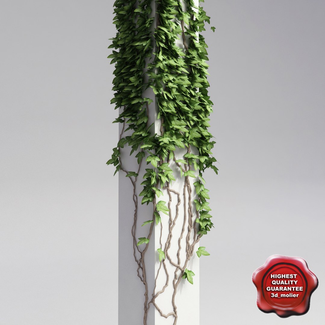 Column Ivy V1 3d Max