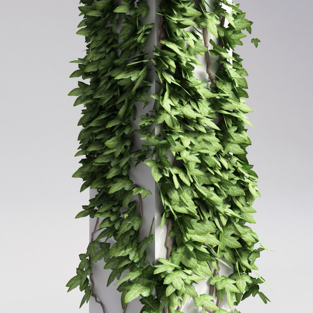 Column Ivy V1 3d Max