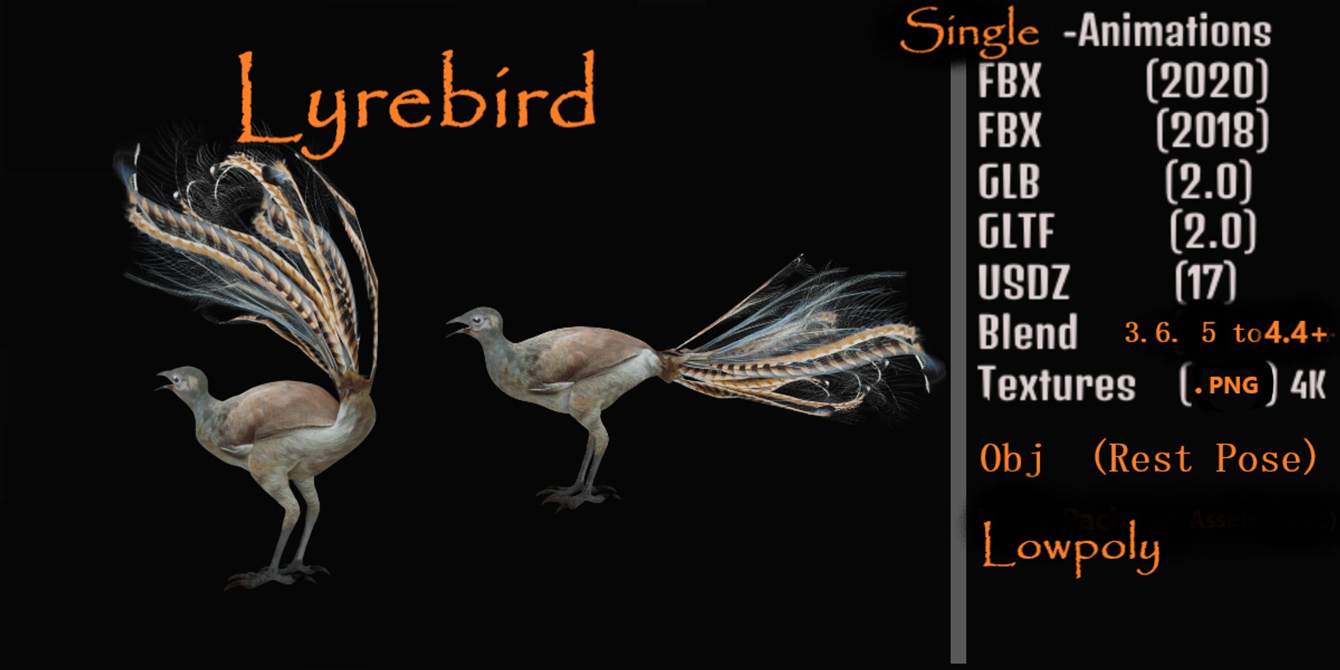3D Model Lyrebird - TurboSquid 2383344