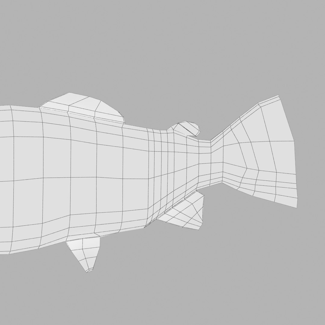 3D Model Rainbow Trout - TurboSquid 1154951