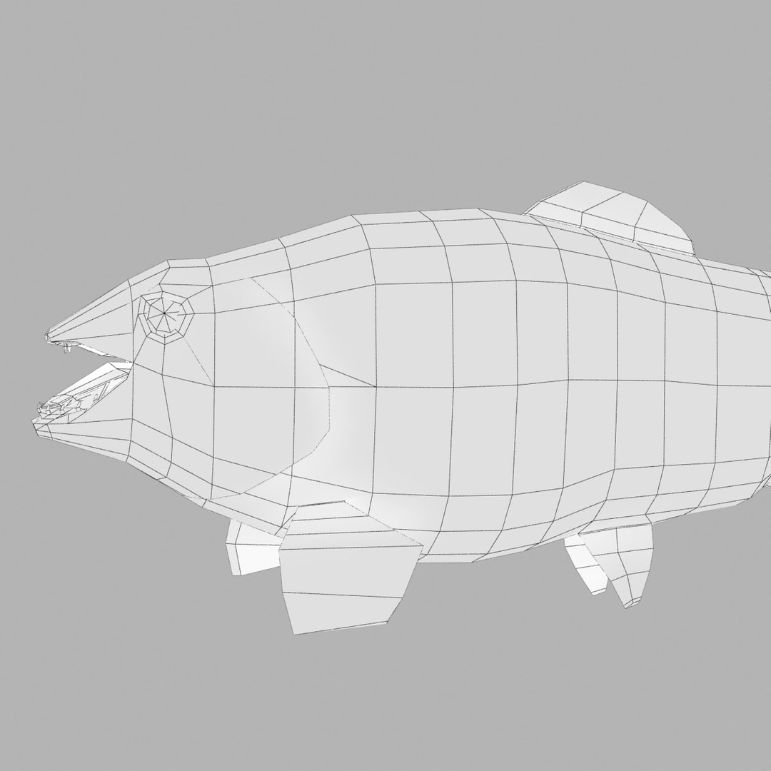 3D Model Rainbow Trout - TurboSquid 1154951