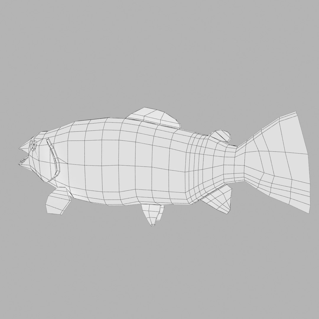 3D Model Rainbow Trout - TurboSquid 1154951