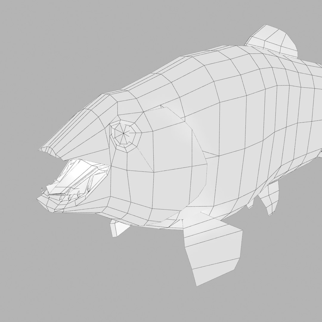 3D Model Rainbow Trout - TurboSquid 1154951