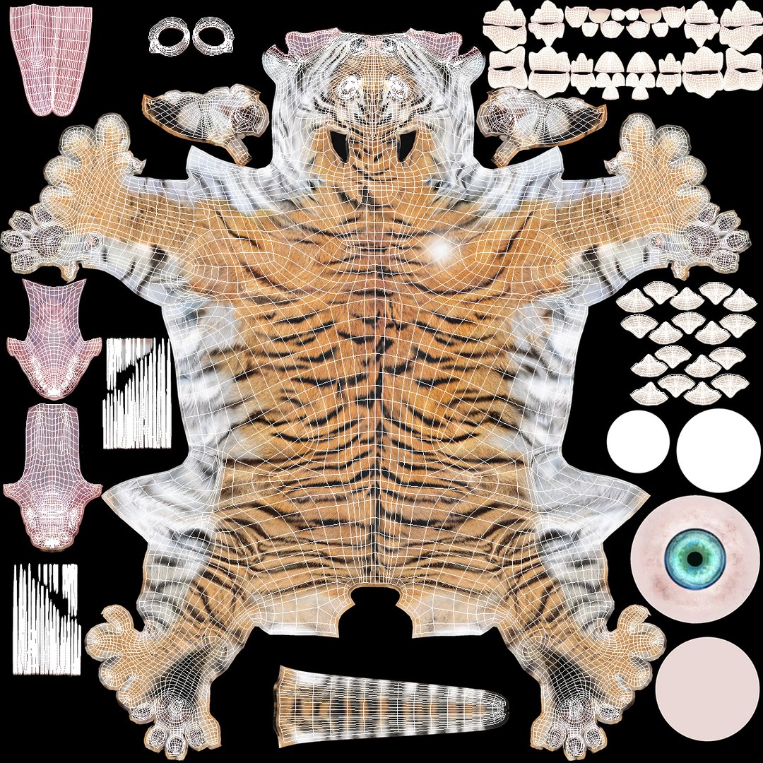 3D Model Tiger Cub Sitting - TurboSquid 2340793