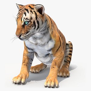 3D Tiger Models - Browse & Download Formats - TurboSquid