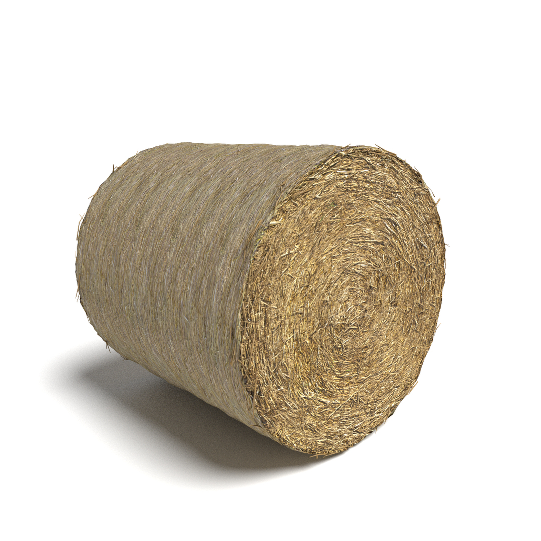 3d Model Bale Hay