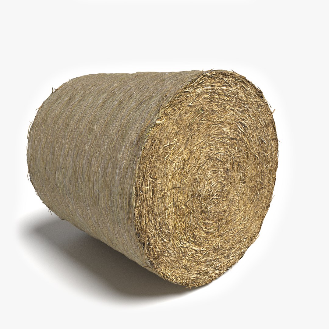 3d Model Bale Hay