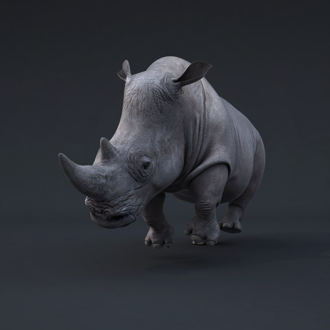 3d Realistic Rhino Rig