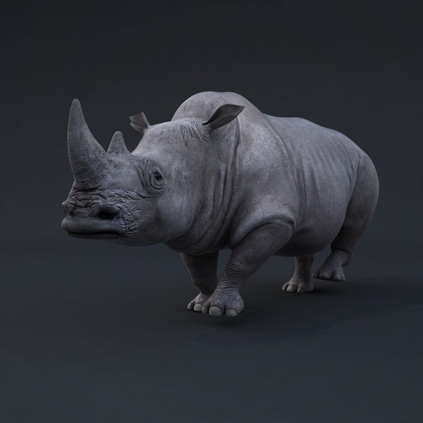 3d realistic rhino rig