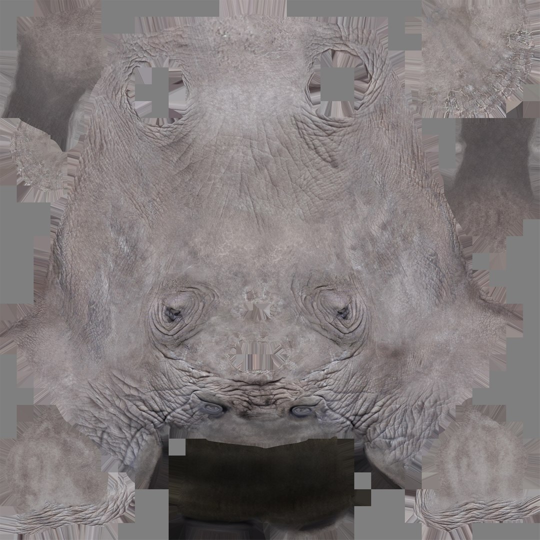 3d Realistic Rhino Rig