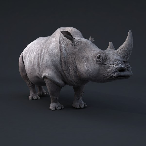 3d realistic rhino rig