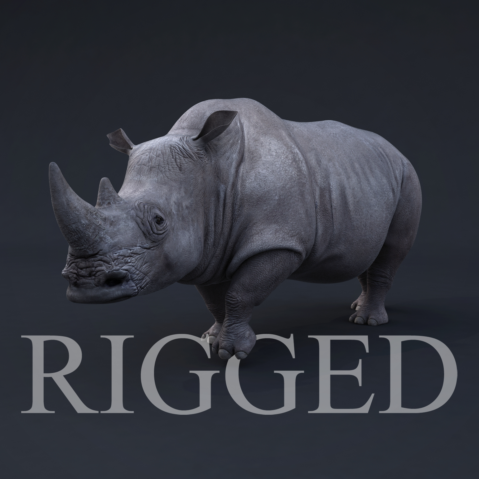 3d realistic rhino rig