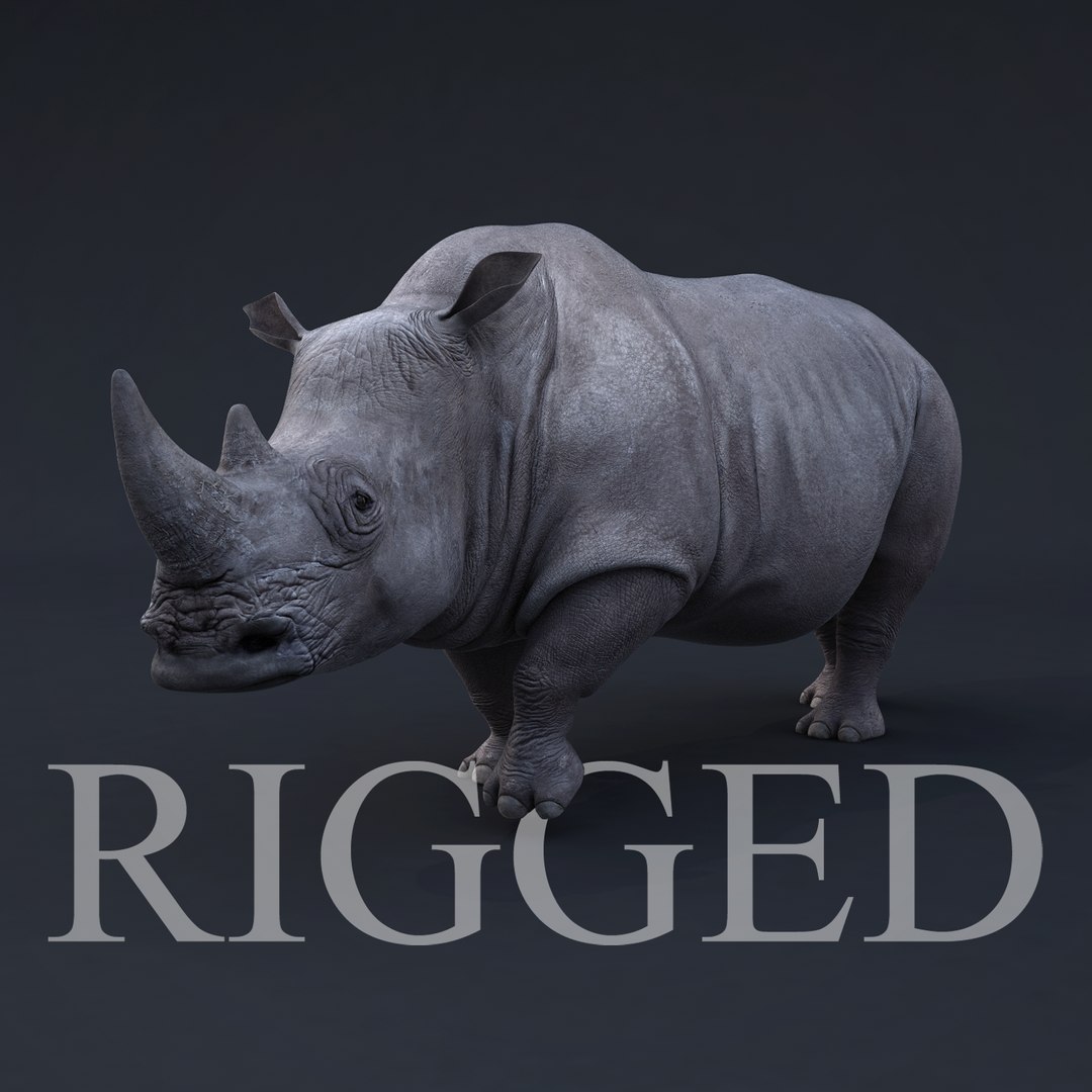 3d Realistic Rhino Rig