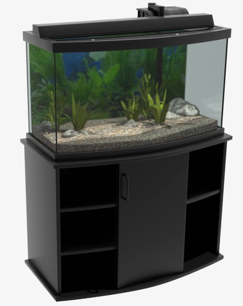maya tank fishtank fish