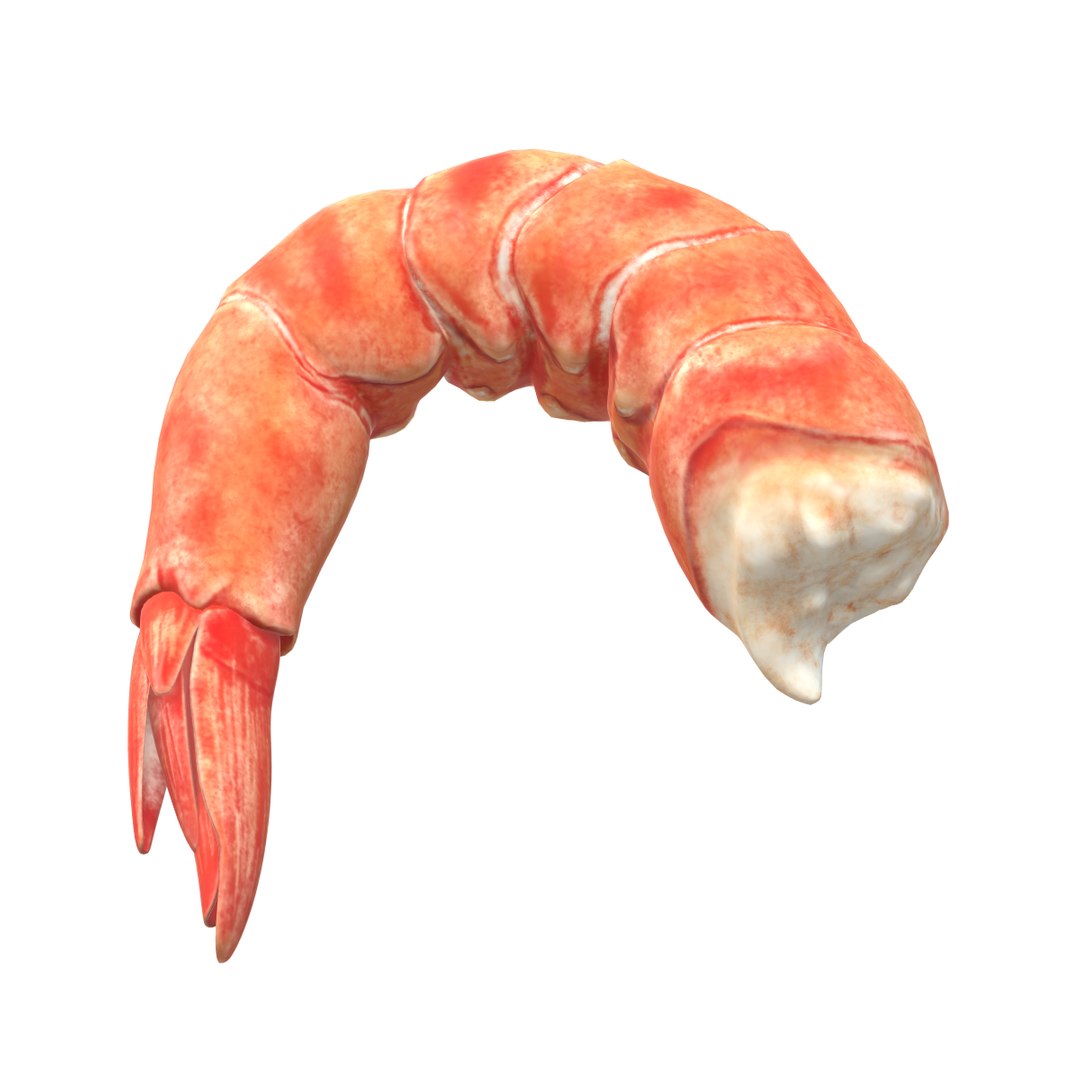 Shrimp 3D Model - TurboSquid 2347304