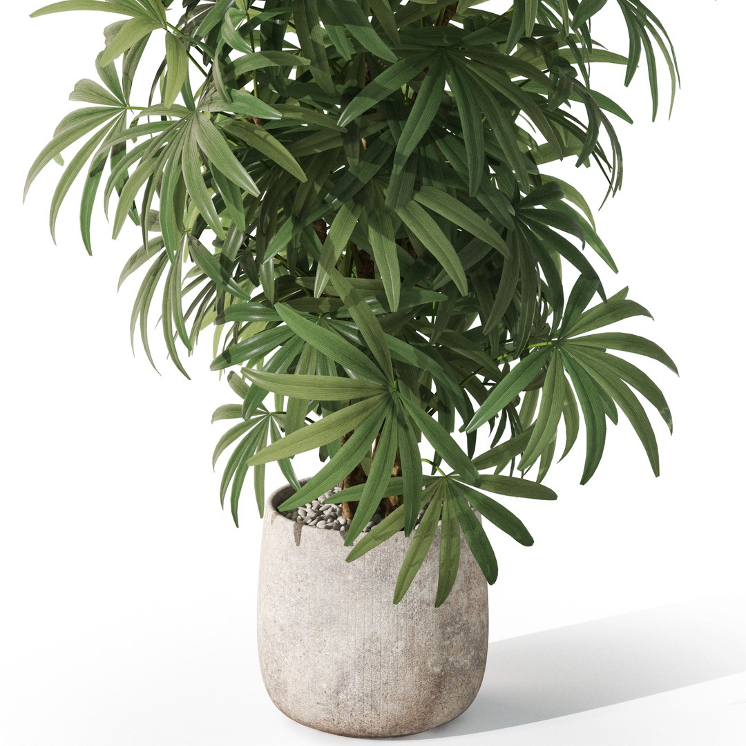 Plants Collection 1060 3D Model - TurboSquid 2200900