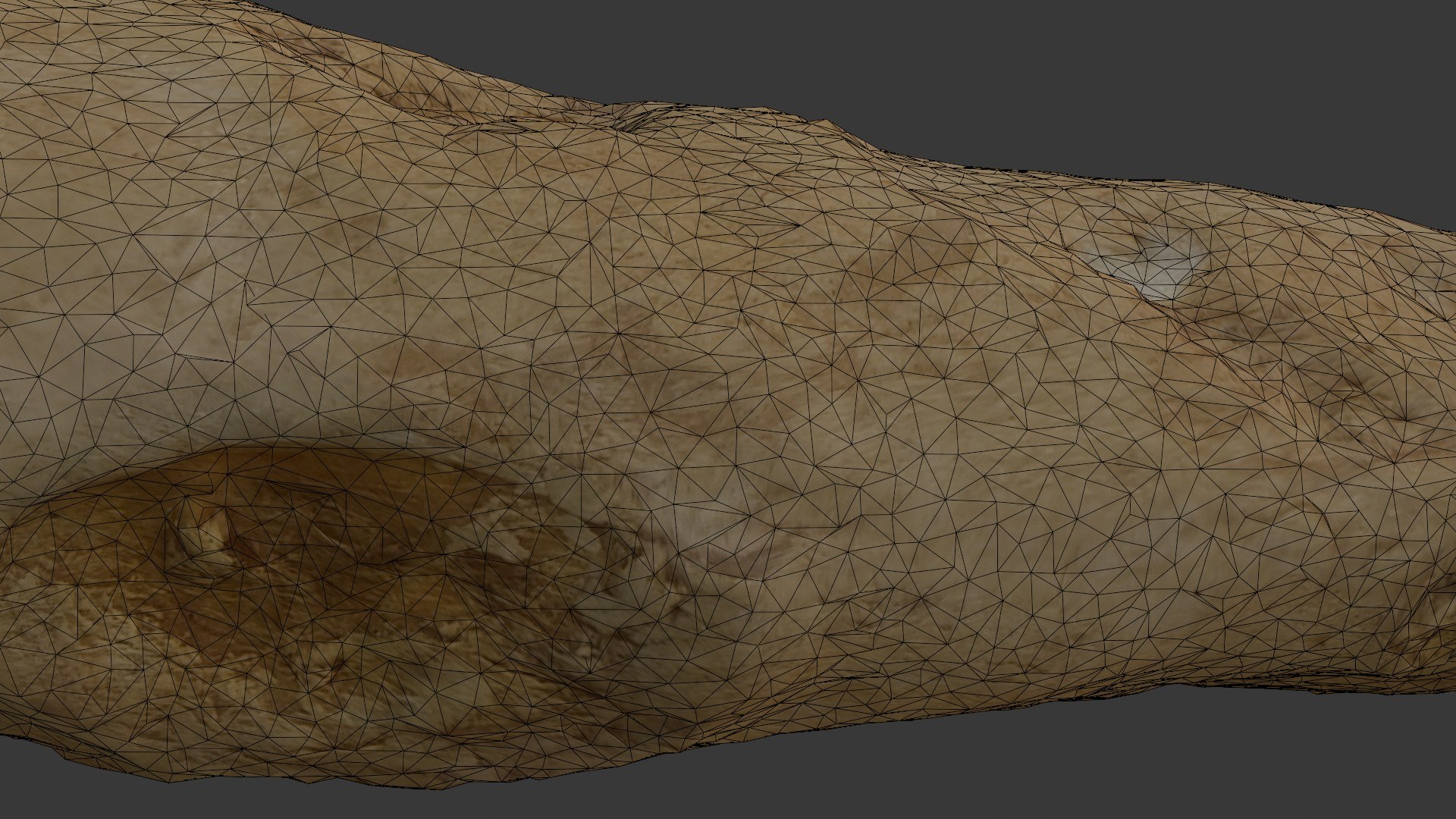 3D Ginger Root 3D Model Model - TurboSquid 2409831