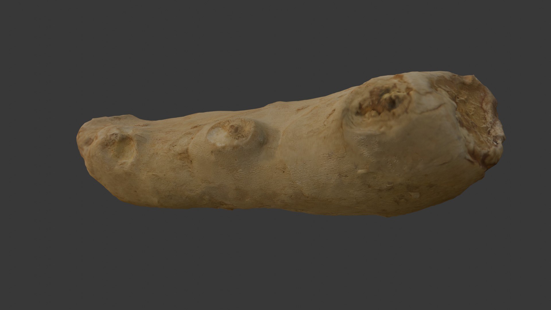 3D Ginger Root 3D Model Model - TurboSquid 2409831