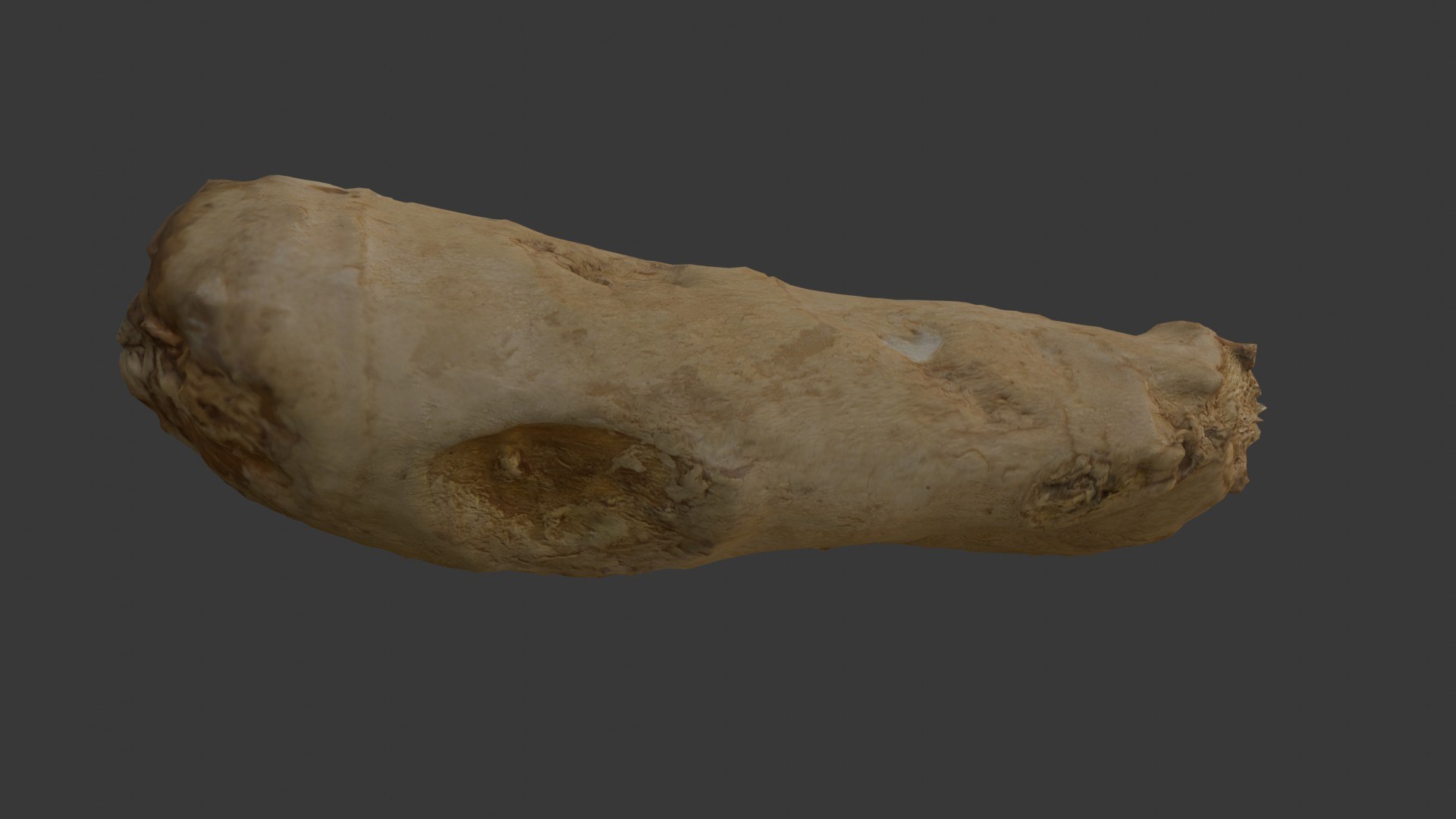 3D Ginger Root 3D Model Model - TurboSquid 2409831