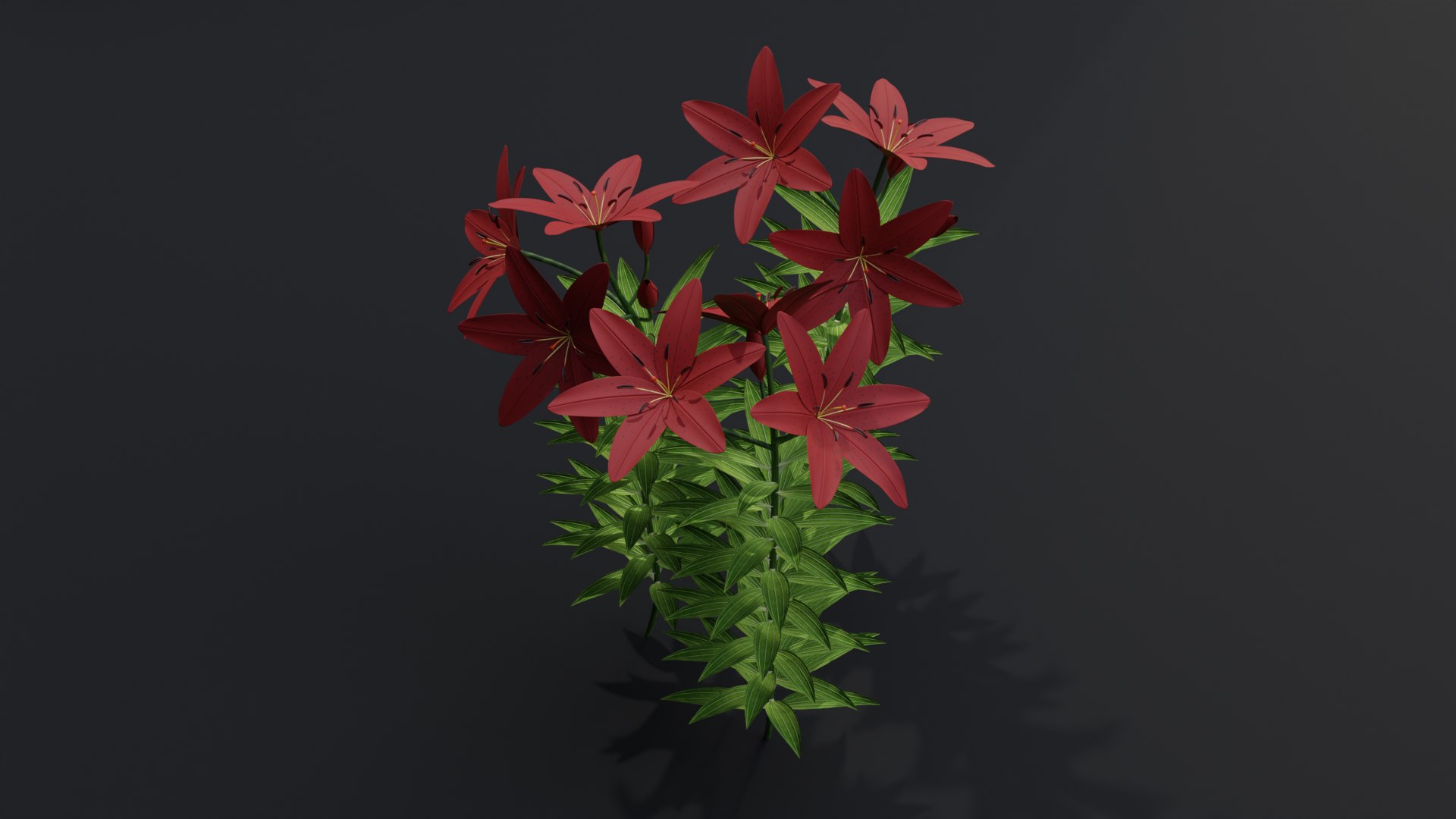 3D Lilium Lily Plant - TurboSquid 2079343