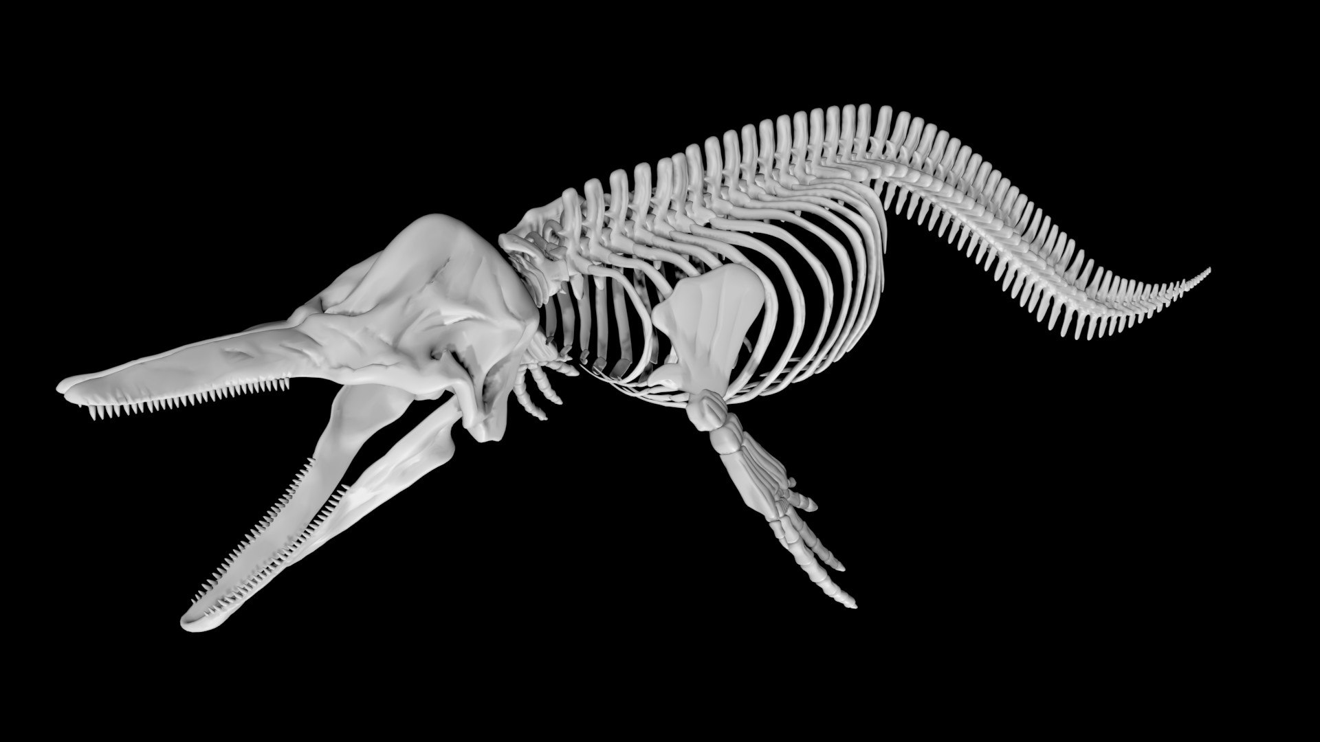Rigged Dolphin Skeleton Model - TurboSquid 1853932