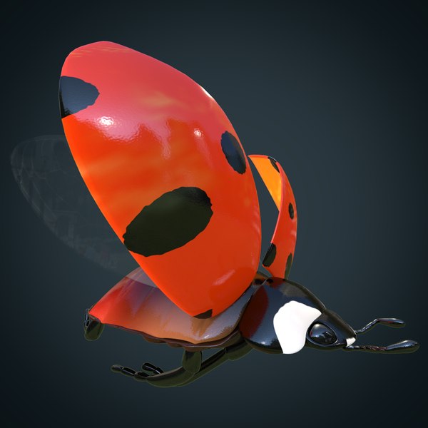 Ladybug 3D Models for Download | TurboSquid