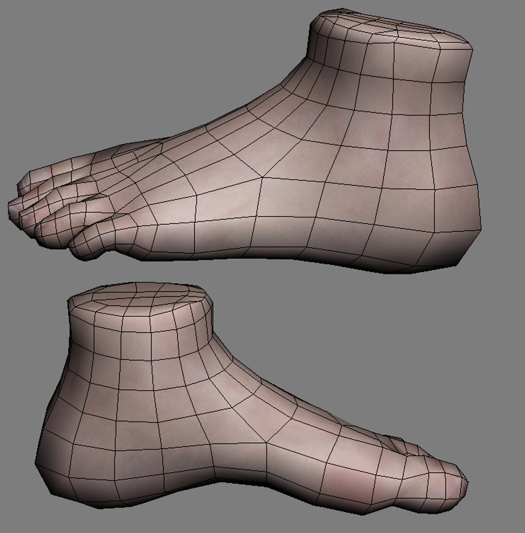Maya Realistic Foot