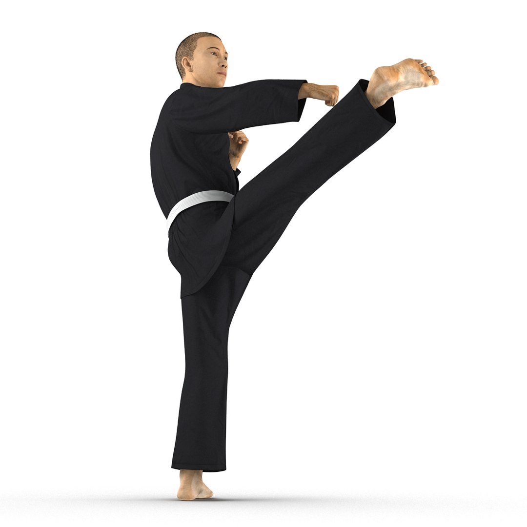 3d Model Japanese Karate Fighter Black