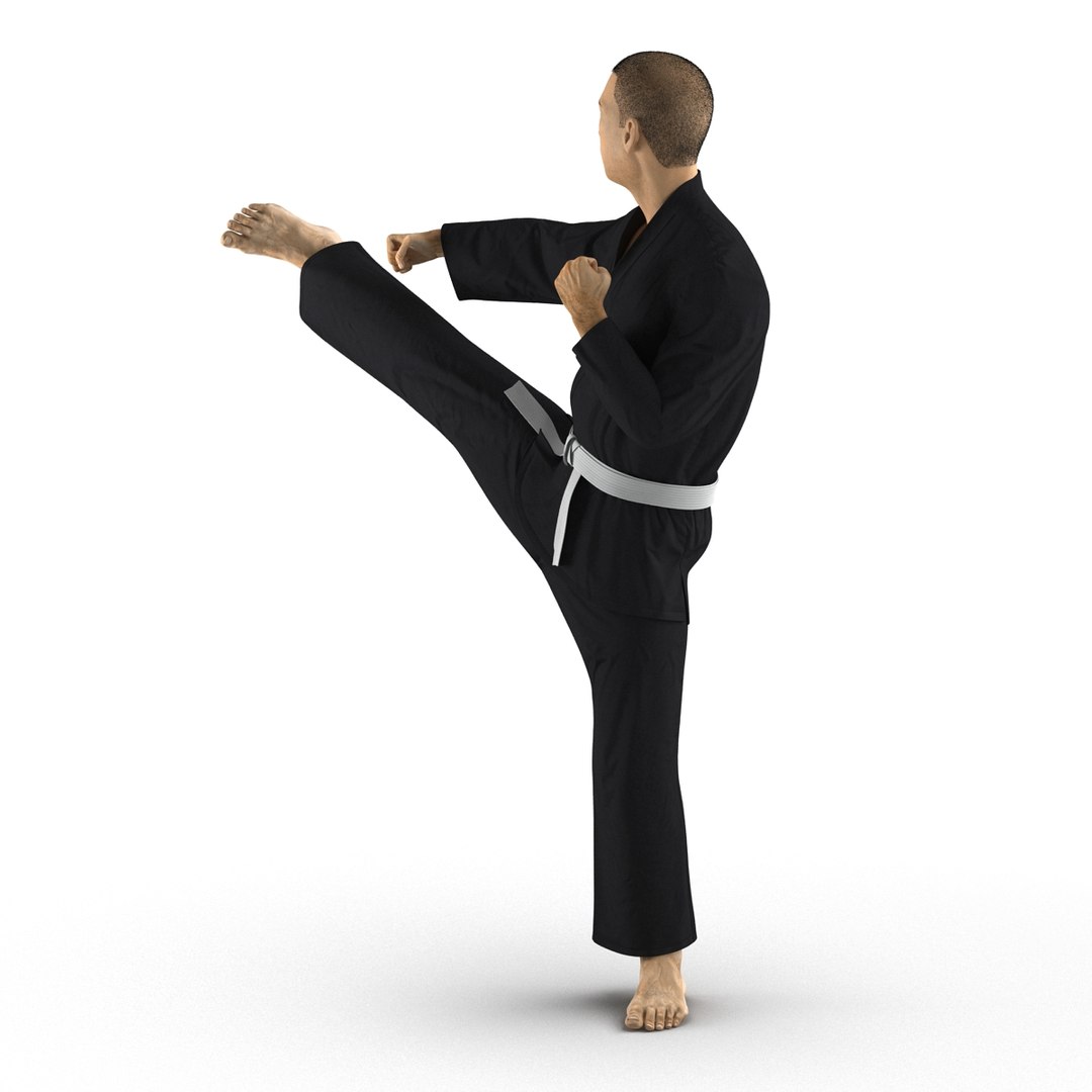 3d Model Japanese Karate Fighter Black