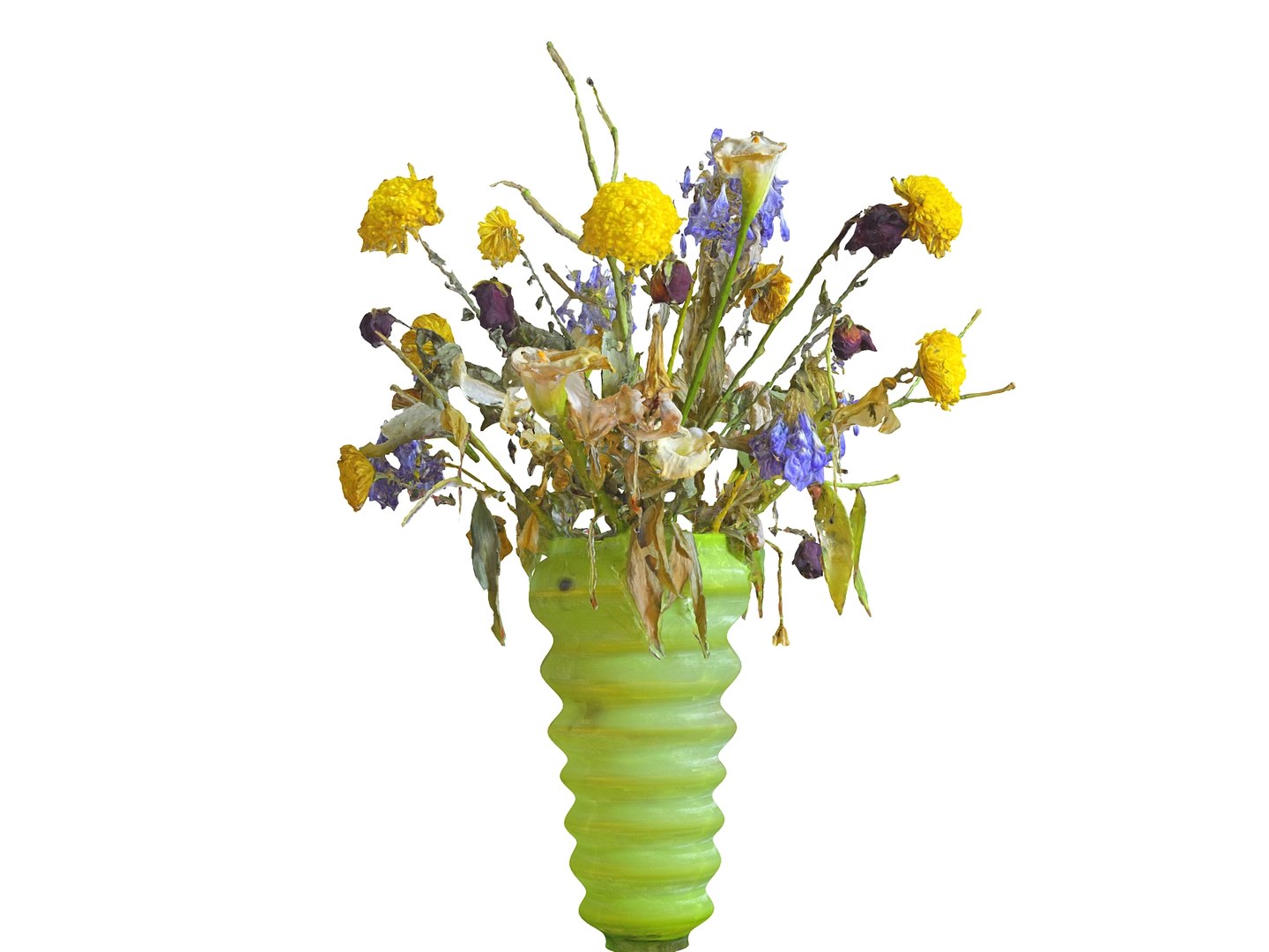 3D Dead Flower Scan Model - TurboSquid 1484161