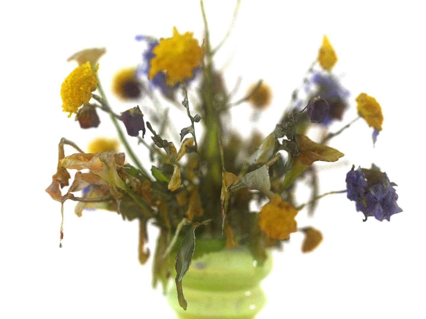 3D Dead Flower Scan Model - TurboSquid 1484161