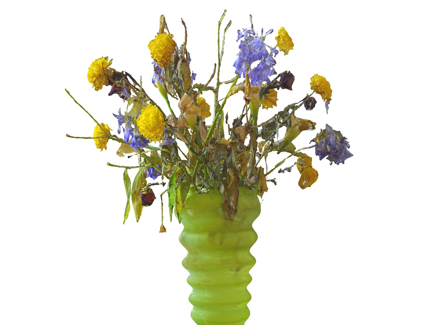 3D Dead Flower Scan Model - TurboSquid 1484161