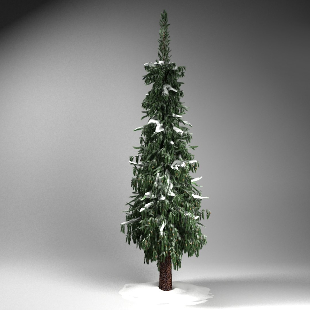3d wild forest fir trees