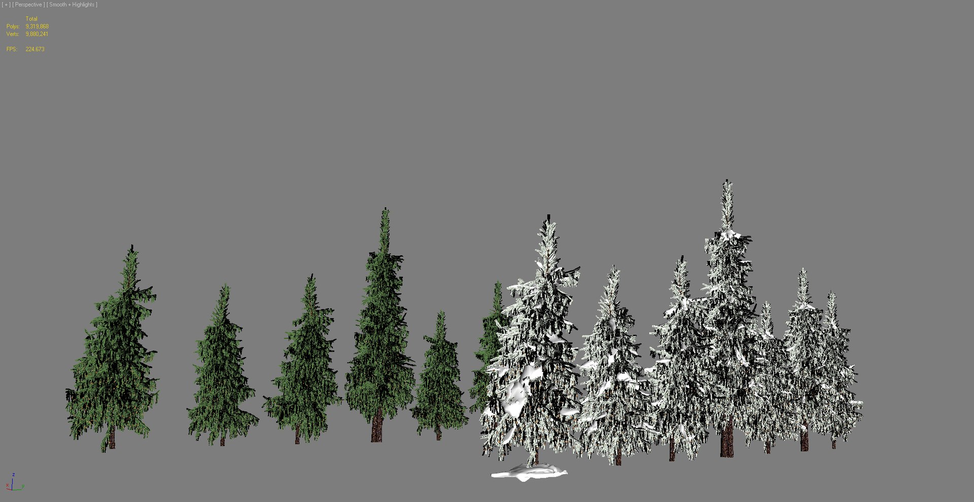 3d wild forest fir trees