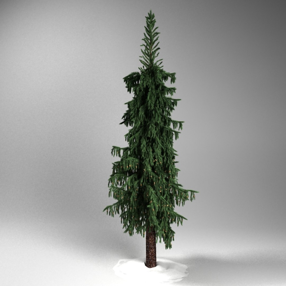 3d wild forest fir trees