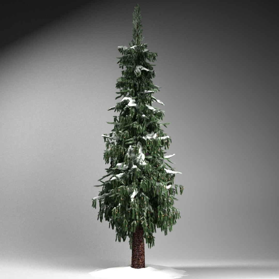 3d wild forest fir trees