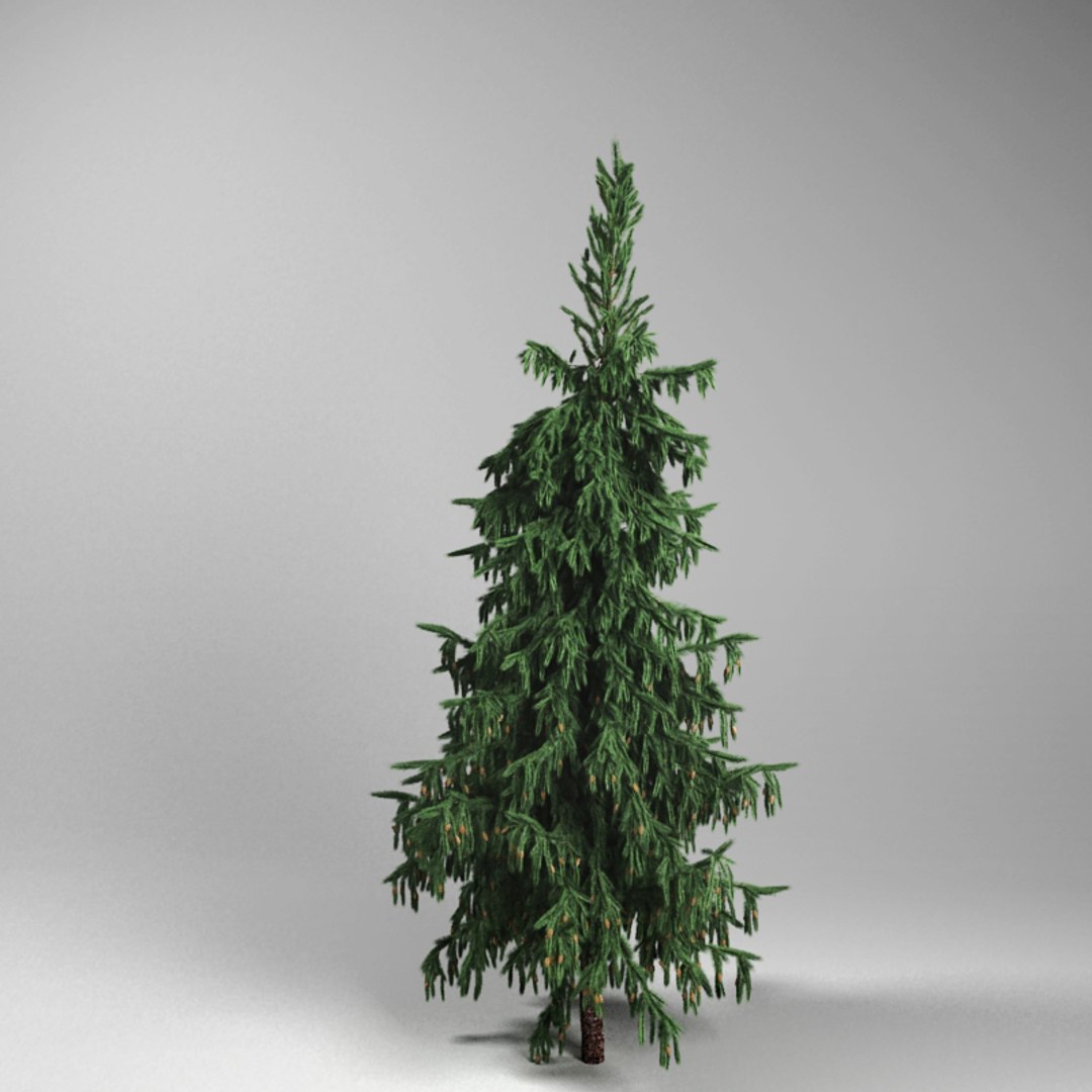 3d wild forest fir trees