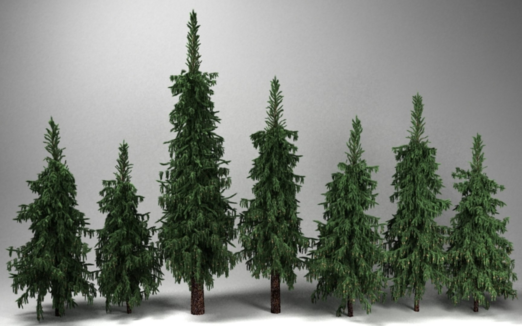 3d wild forest fir trees