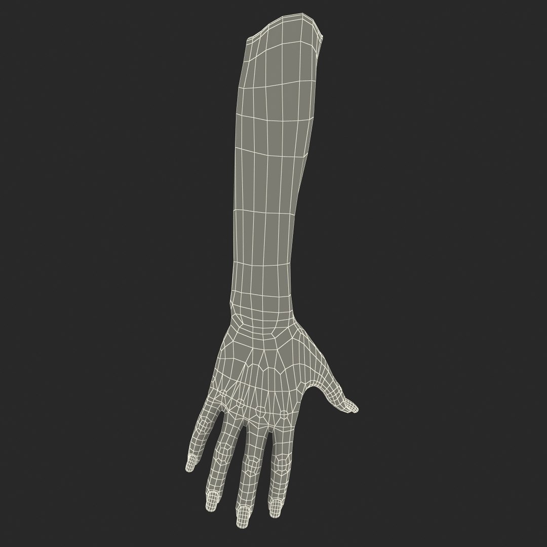Female Hand 3 3d Max