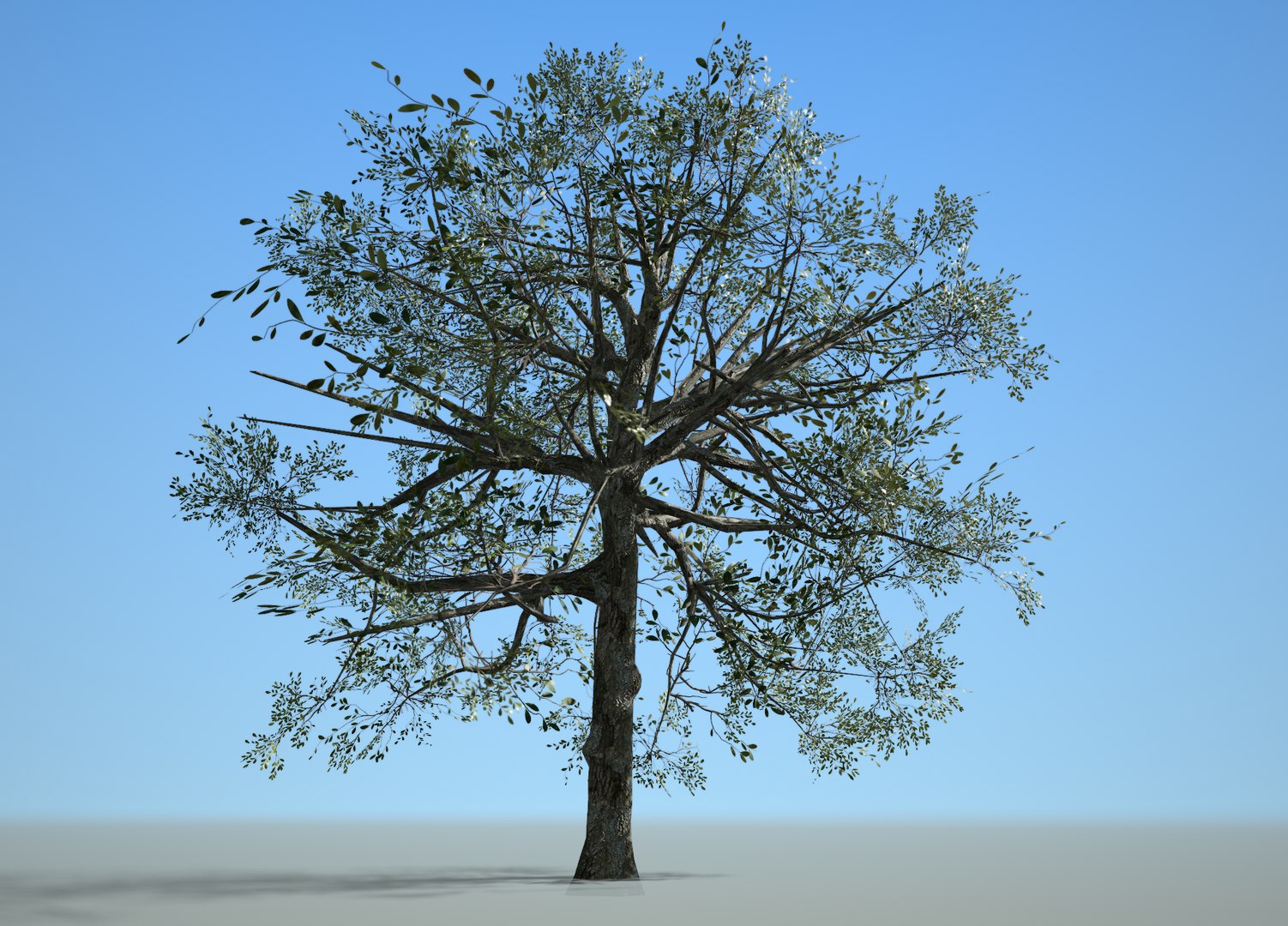 3D Nature Environment Asset Pack Vol 2 - TurboSquid 1725682