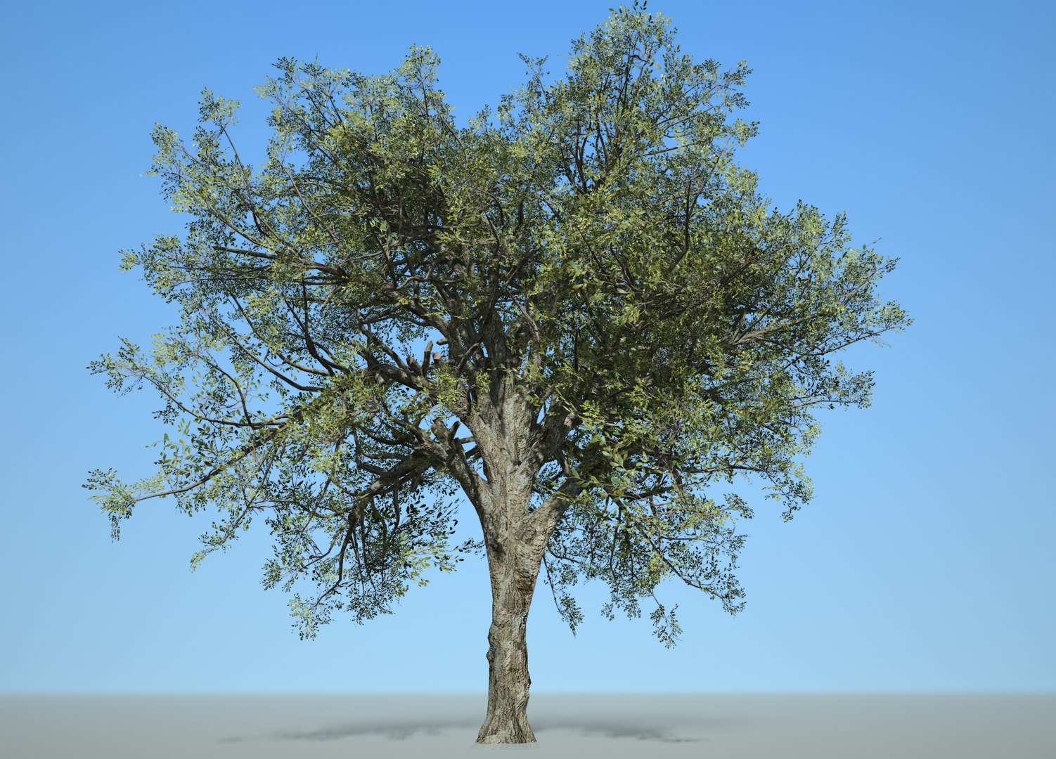 3D Nature Environment Asset Pack Vol 2 - TurboSquid 1725682