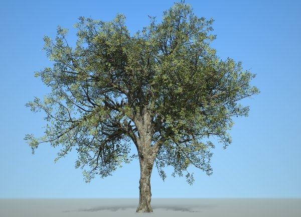 자연 환경 자산 팩 vol 2 3D 모델 - TurboSquid 1725682