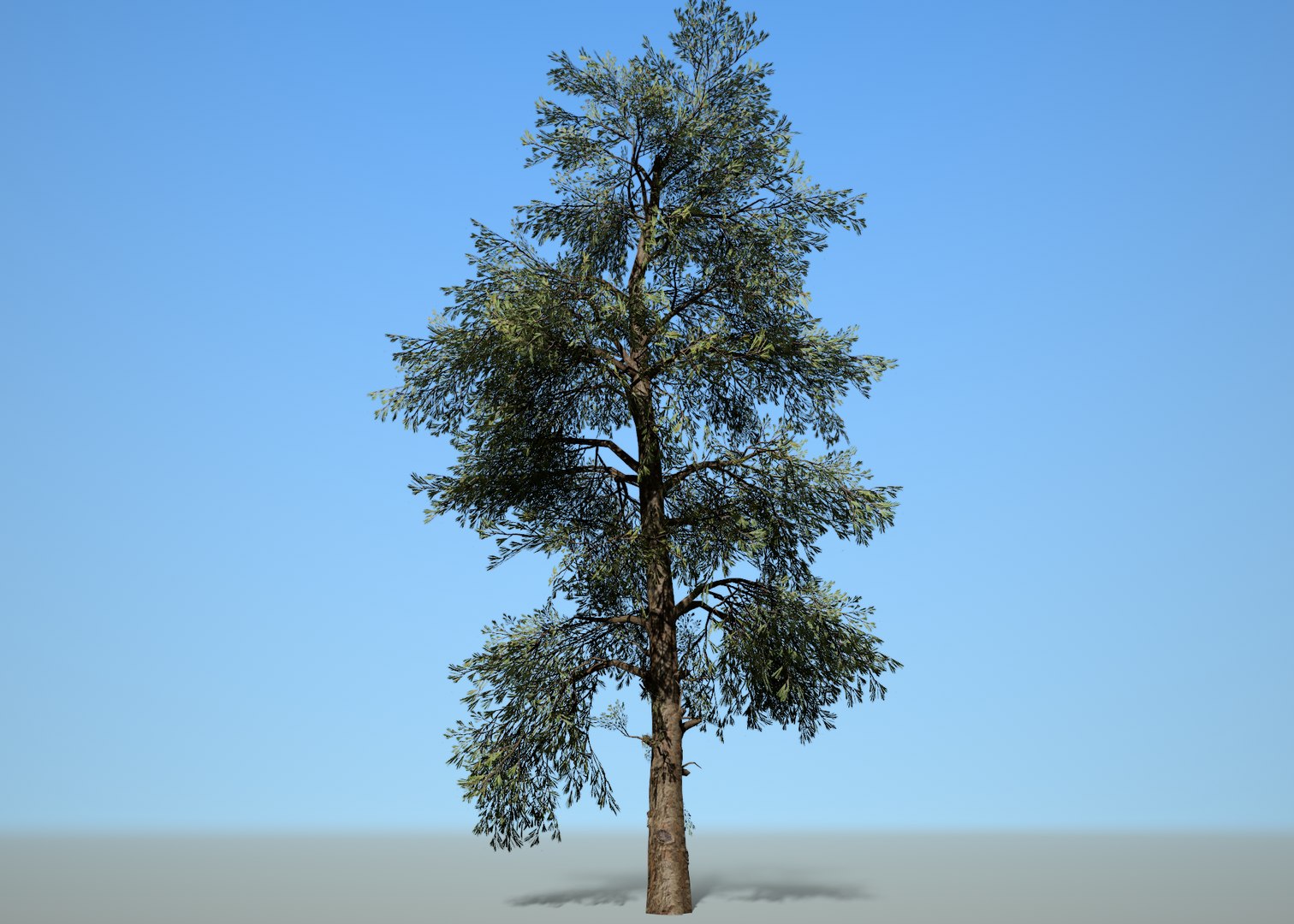 3D Nature Environment Asset Pack Vol 2 - TurboSquid 1725682