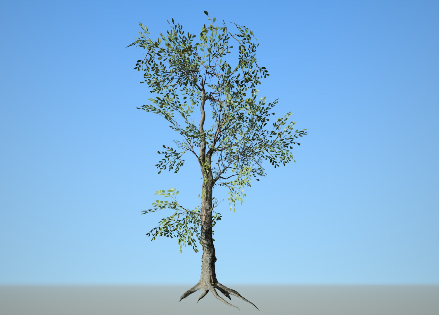 3D Nature Environment Asset Pack Vol 2 - TurboSquid 1725682