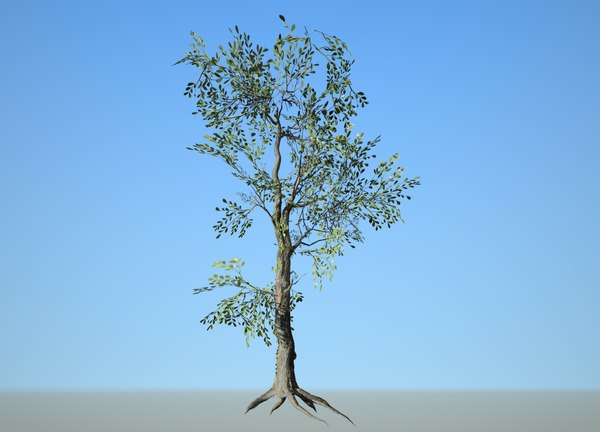 자연 환경 자산 팩 vol 2 3D 모델 - TurboSquid 1725682