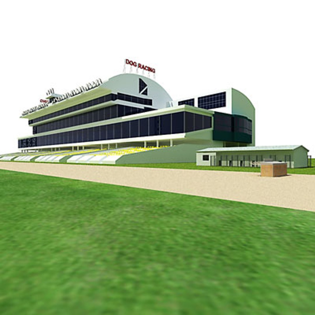 maya greyhound racetrack dog racing