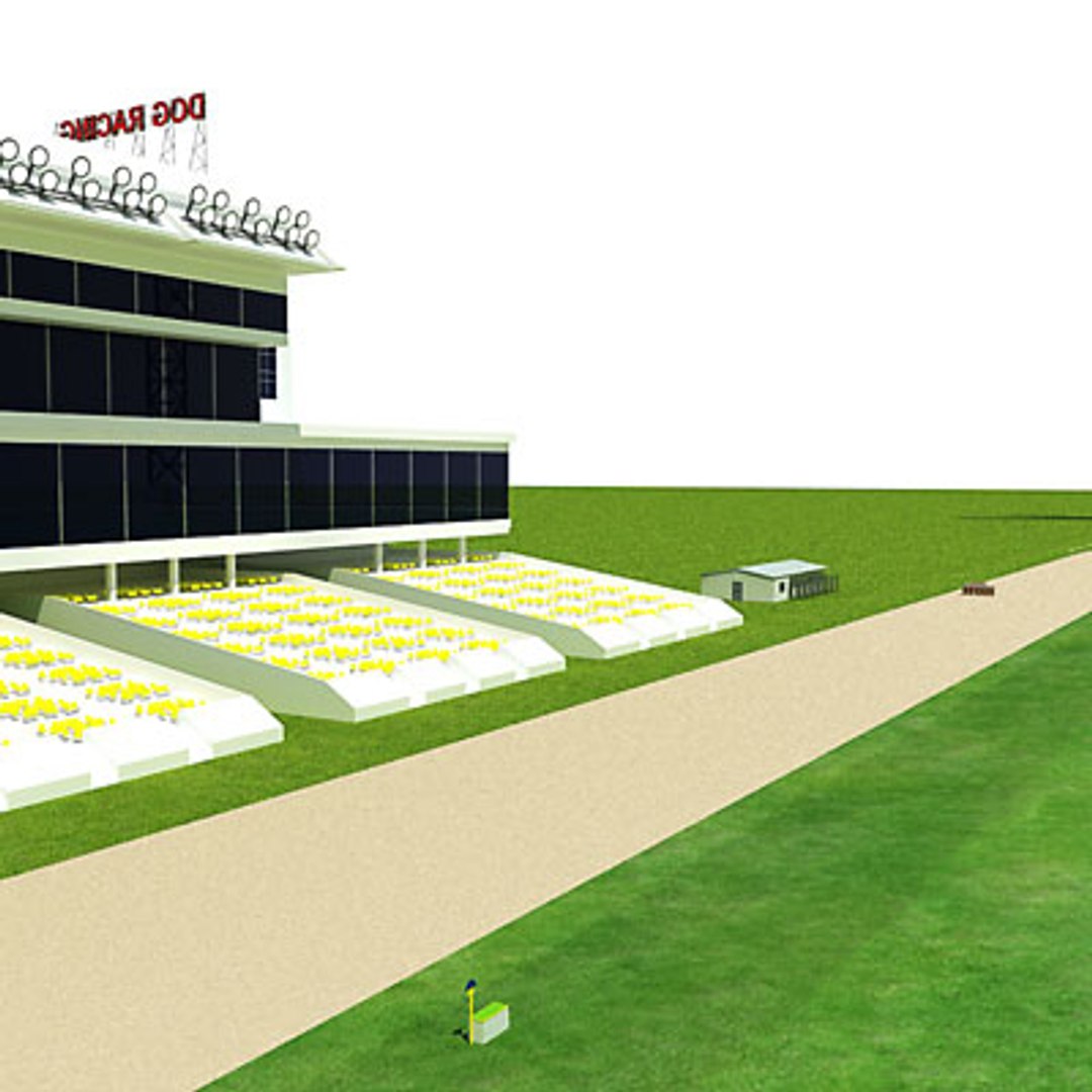 maya greyhound racetrack dog racing