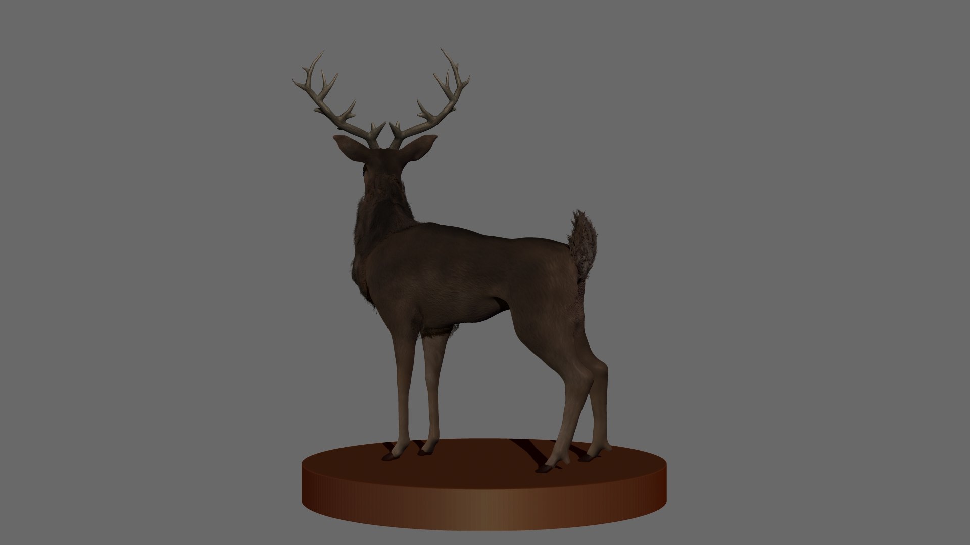 3D Realistic Deer Model - TurboSquid 1610662