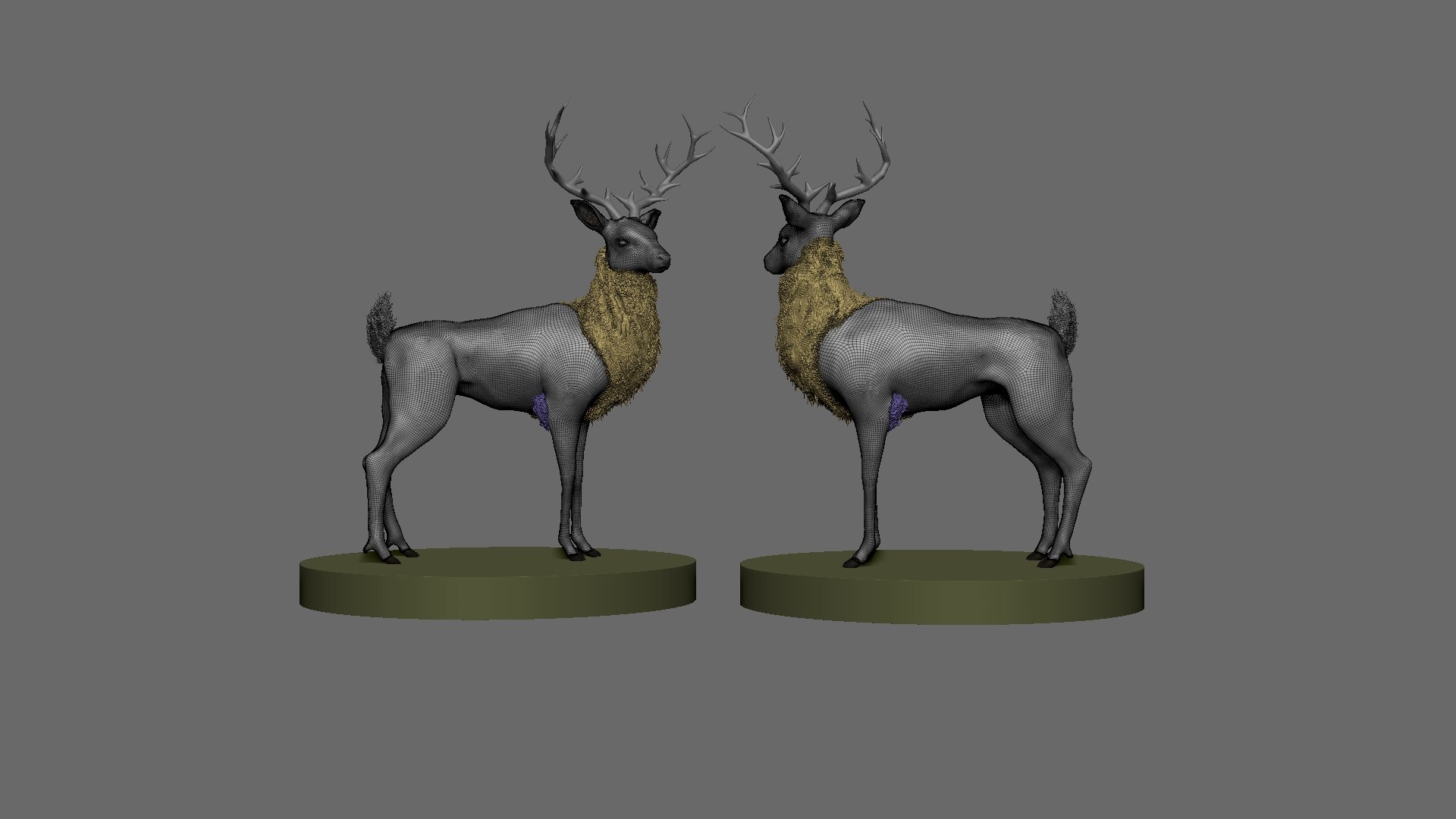 3D Realistic Deer Model - TurboSquid 1610662